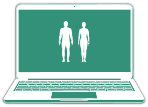 Year 8 Biology Online Course (AU Curriculum 8.4)