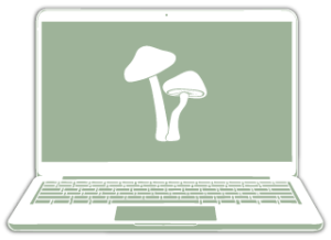 Year 7 Biology Online Course (AU Curriculum 8.4)