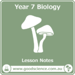 Year 7 Biology Lesson Notes | Good Science
