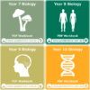 Year 8 Biology PDF Workbook | Good Science